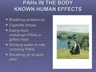 Polycyclics | PPT | Chemistry | Science
