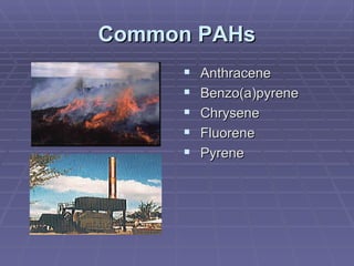 Polycyclics | PPT