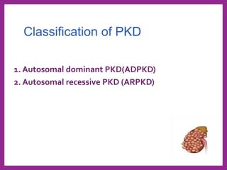 polycystic kidney.pptx | Digestive Disorders | Diseases and Conditions