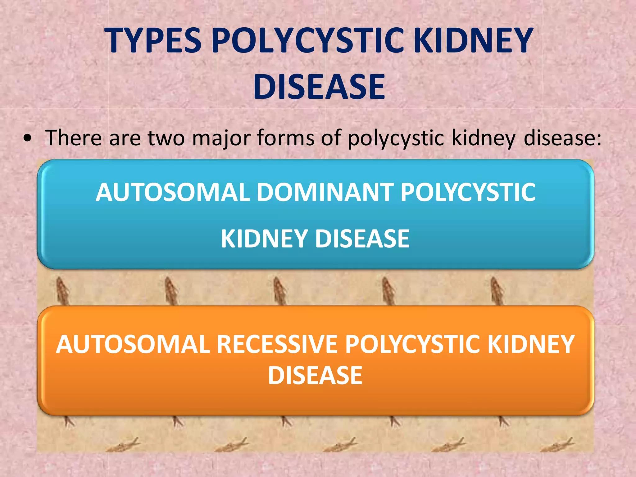 Polycystic kidney disease | PDF