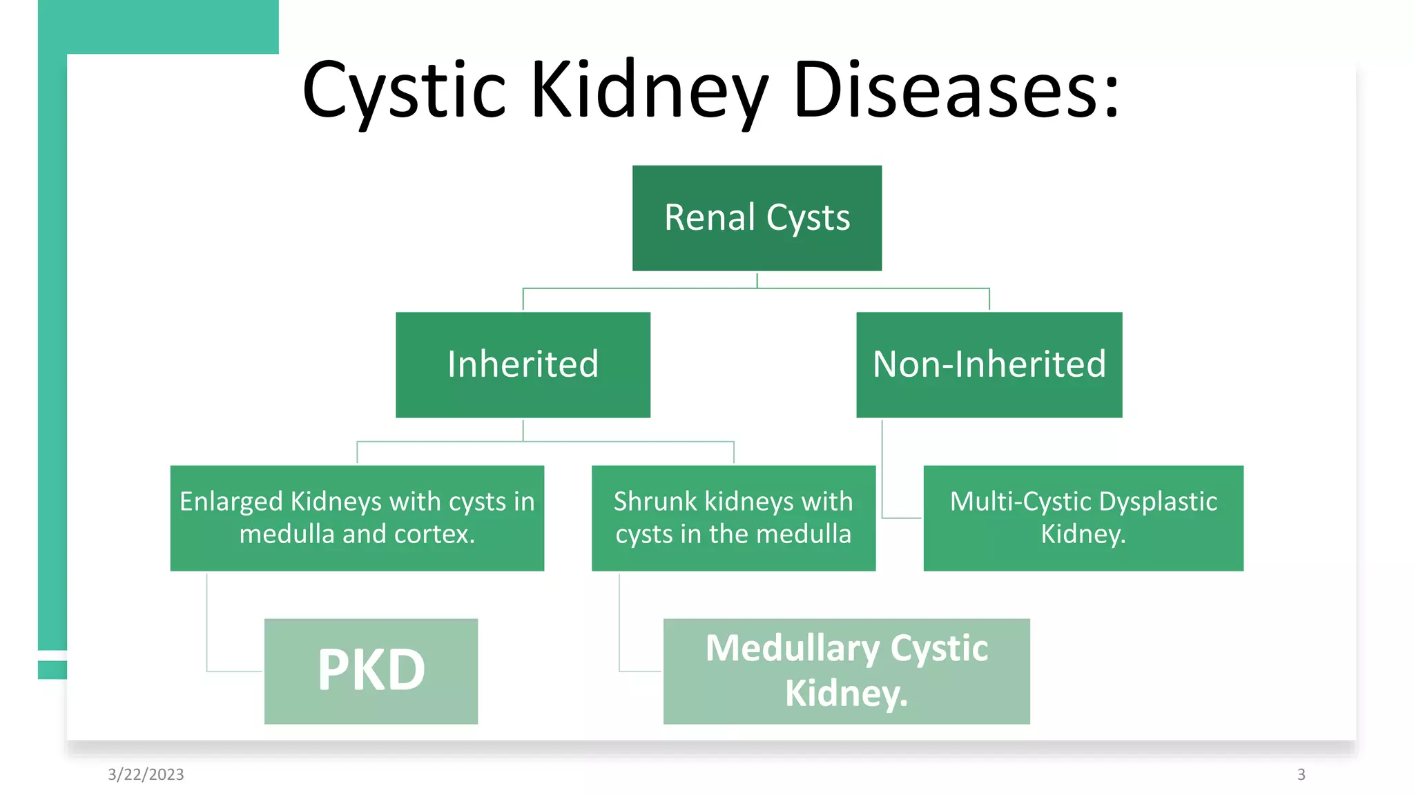 Polycystic Kidney Disease final.pptx