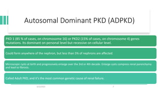 Polycystic Kidney Disease final.pptx