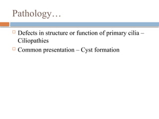 Polycystic Kidney Disease (PCKD).pptx... | PPTX
