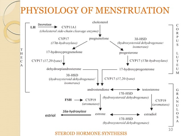 Polycystic ovarian syndrome | PDF