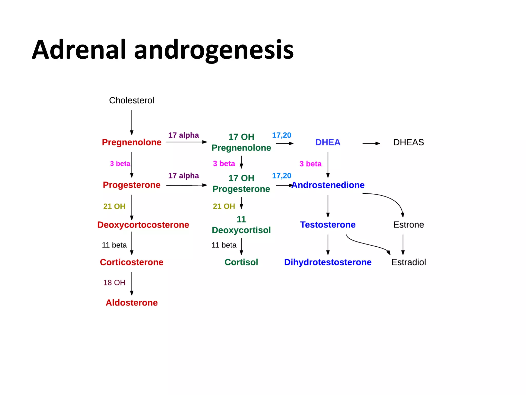 Polycystic Ovarian Syndrome (PCOS) | PDF