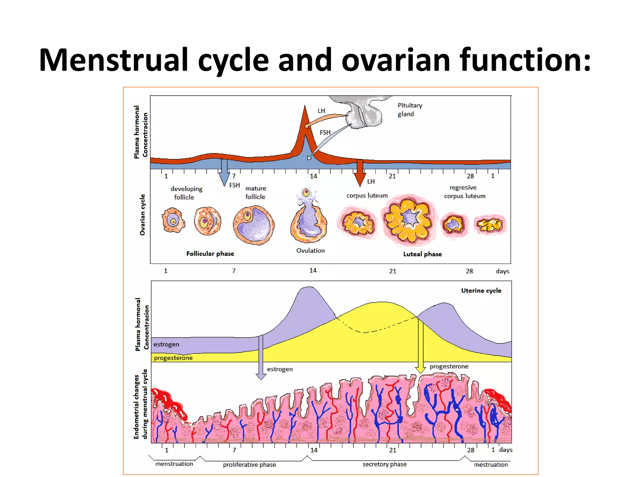 Polycystic Ovarian Syndrome (PCOS) | PDF