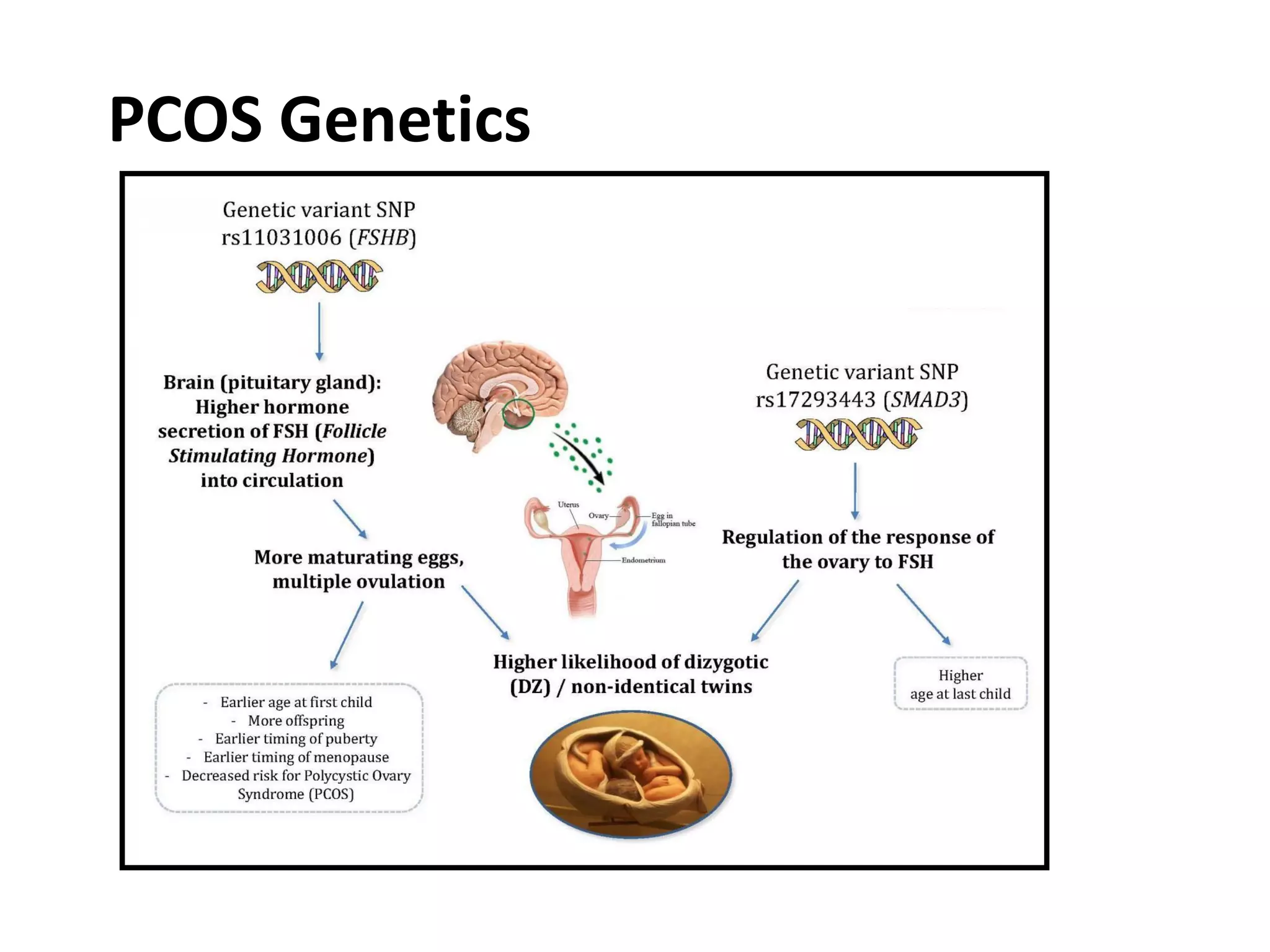 Polycystic Ovarian Syndrome (PCOS) | PDF