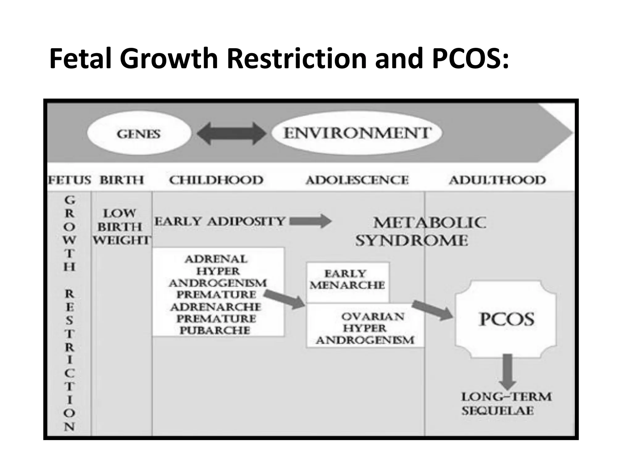 Polycystic Ovarian Syndrome (PCOS) | PDF