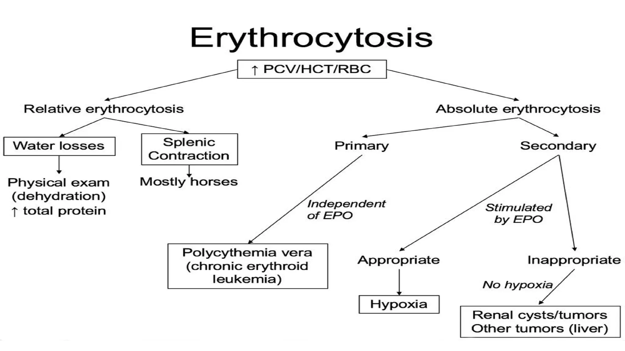 Polycythemia | PDF