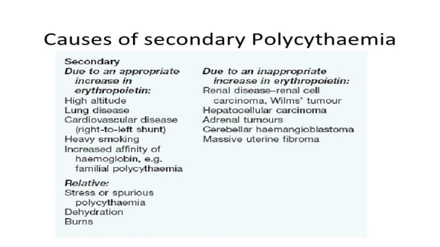Polycythemia | PDF