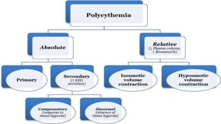 Polycythemia | PPTX