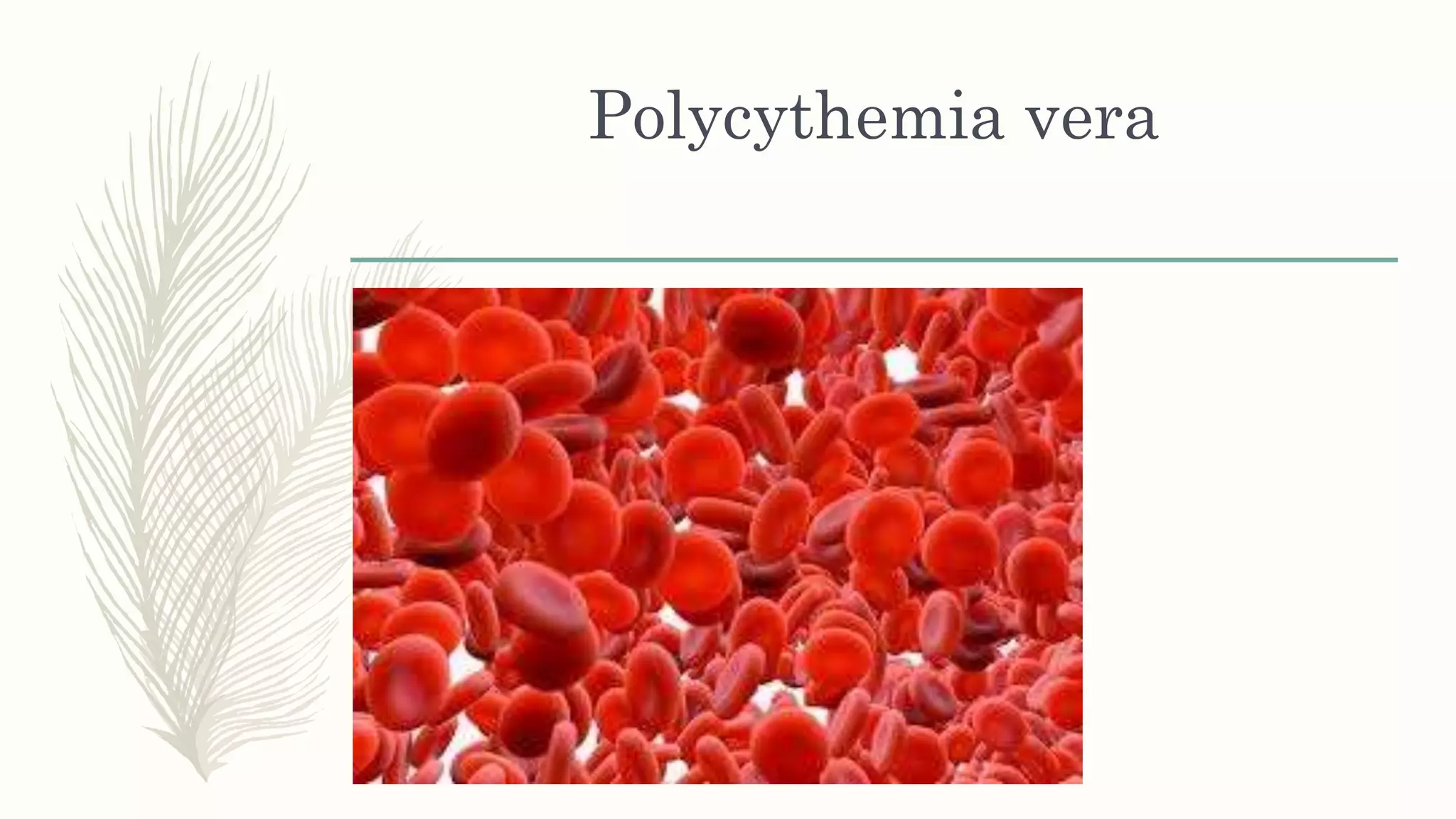 Polycythemia vera | PPTX | Blood Disorders | Diseases and Conditions