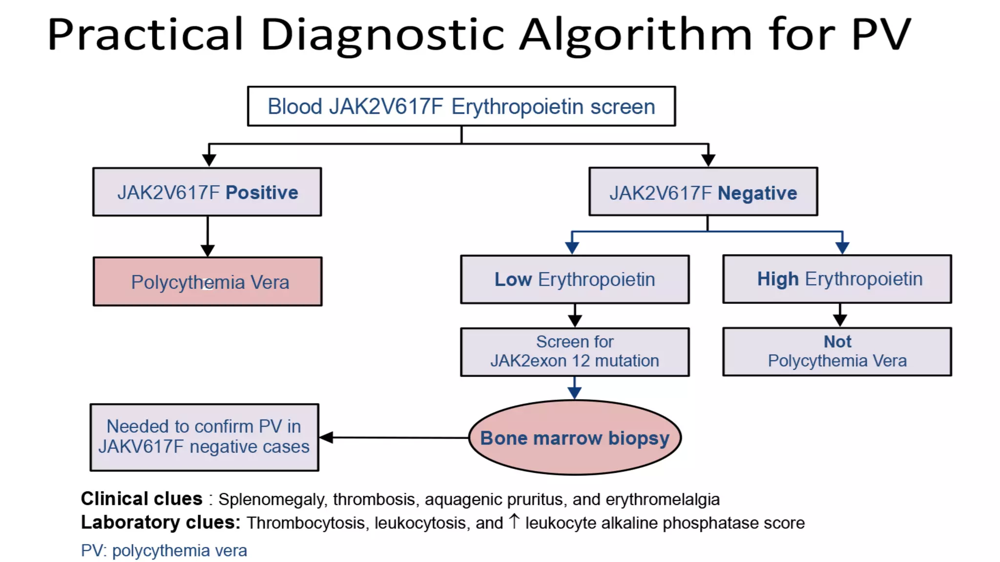 Polycythemia vera | PPTX