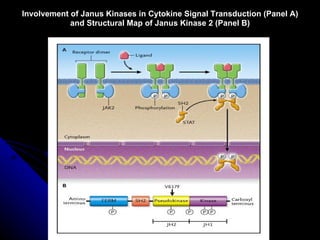Polycythemia vera jak2 | PPT