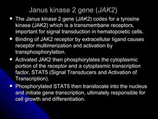 Polycythemia vera jak2 | PPT