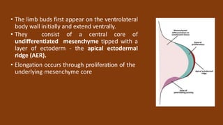 Polydactyly | PPTX