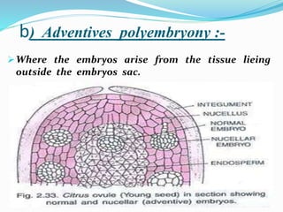 Polyembryony | PPTX