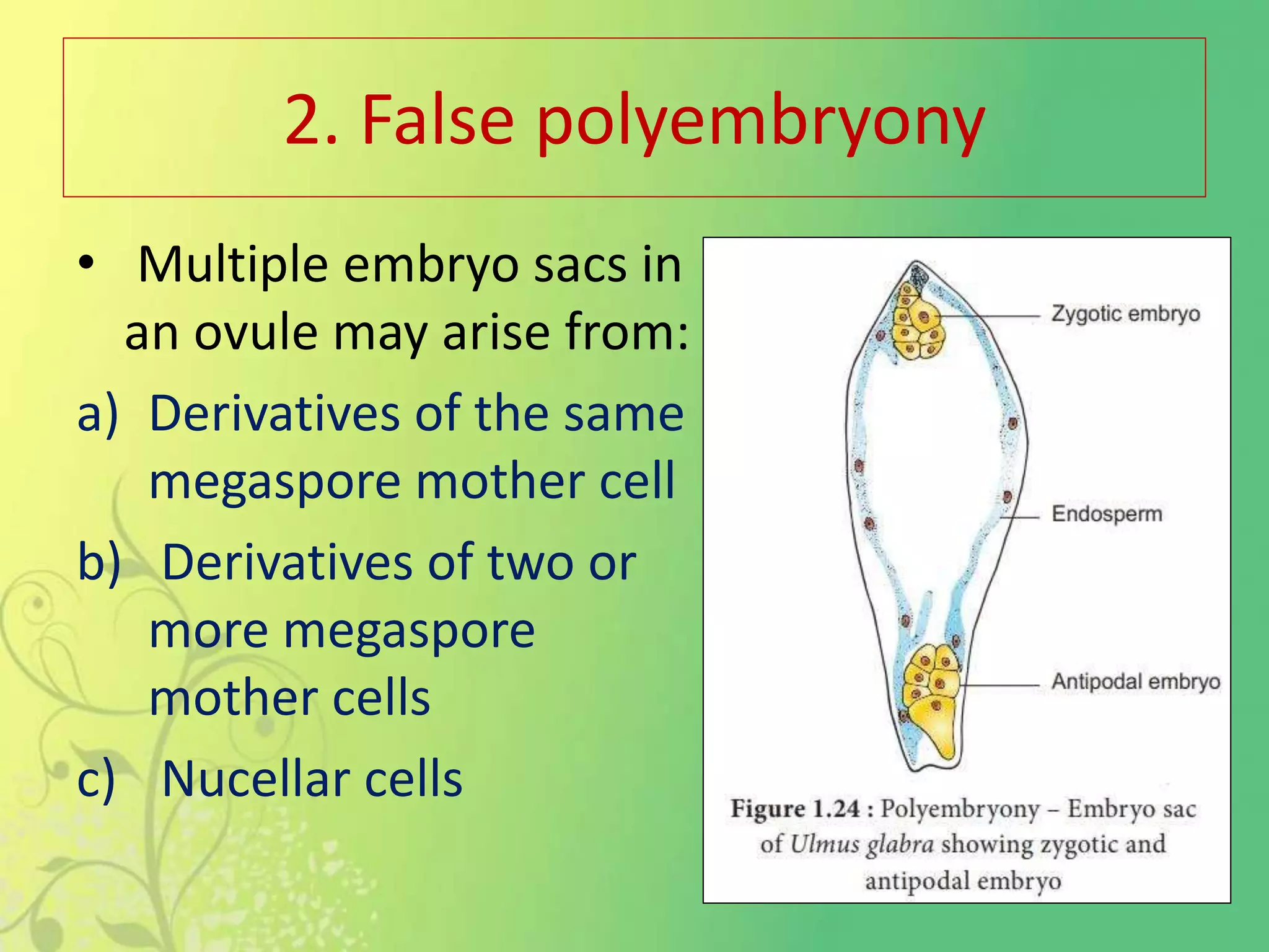 polyembryony.pptx