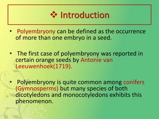 polyembryony.pptx