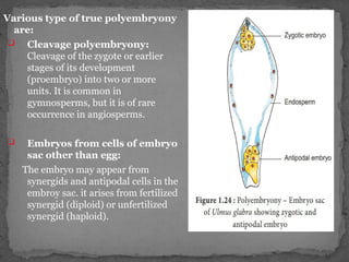 Polyembryony- its Types and Practical importance.pptx