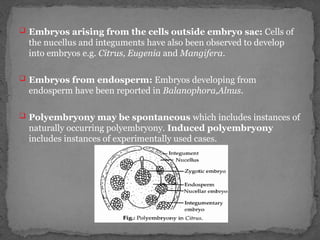 Polyembryony- its Types and Practical importance.pptx
