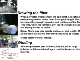 Polyester fibre | PPT