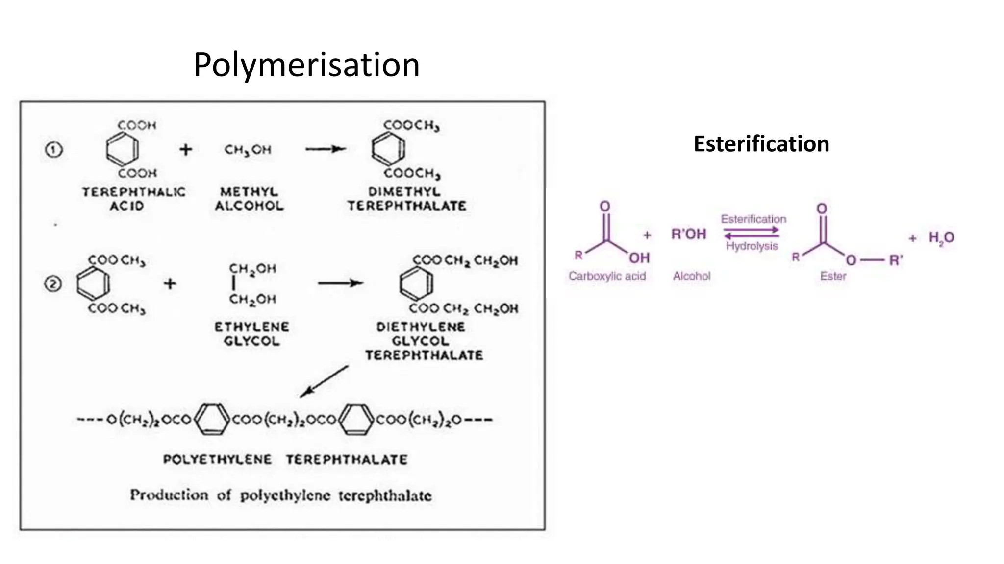 Polyester Manufacturing and Polystyrene.pptx