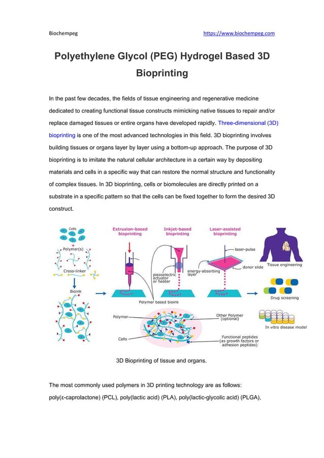 Polyethylene glycol (peg) hydrogel based 3 d bioprinting biochempeg | PDF