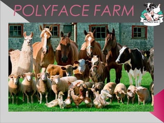Polyface farm | PPT