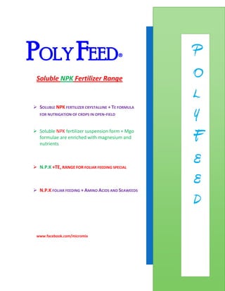 Poly feed presentation | DOCX