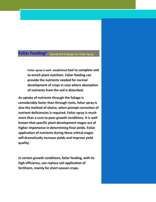 Poly feed presentation | DOCX