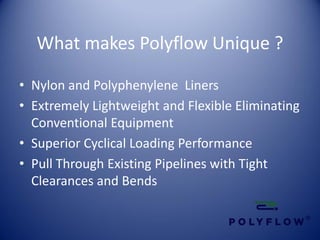 Polyflow Thermoflex Overview June 2012 | PDF