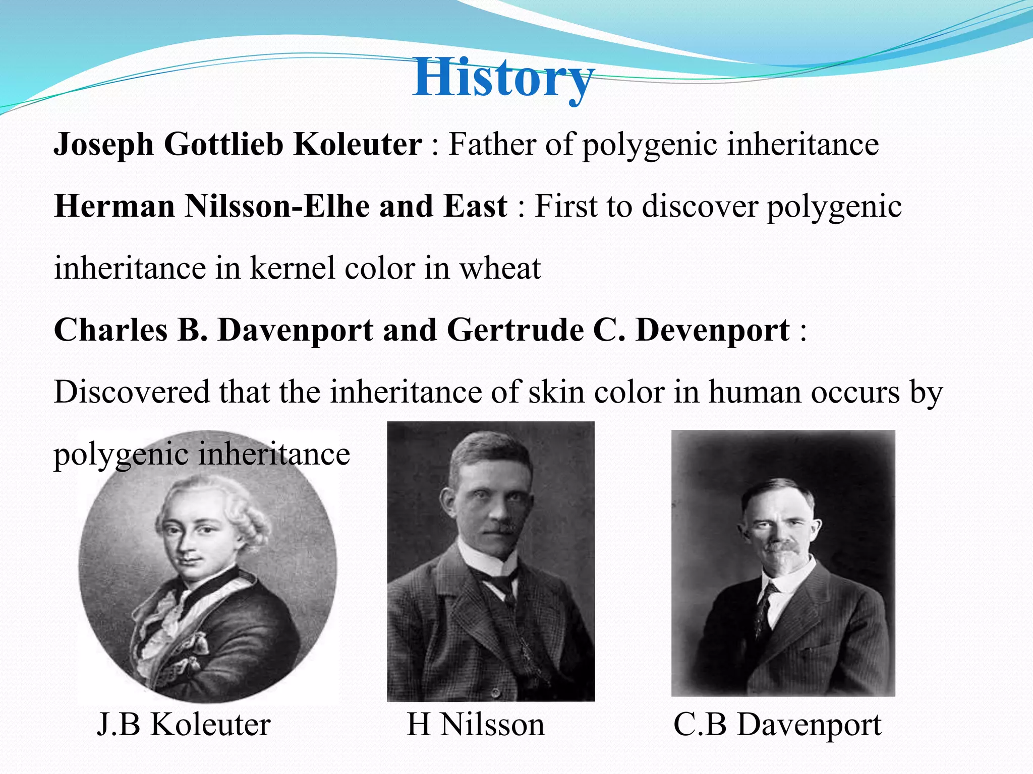 Polygene and its inheritance | PPTX