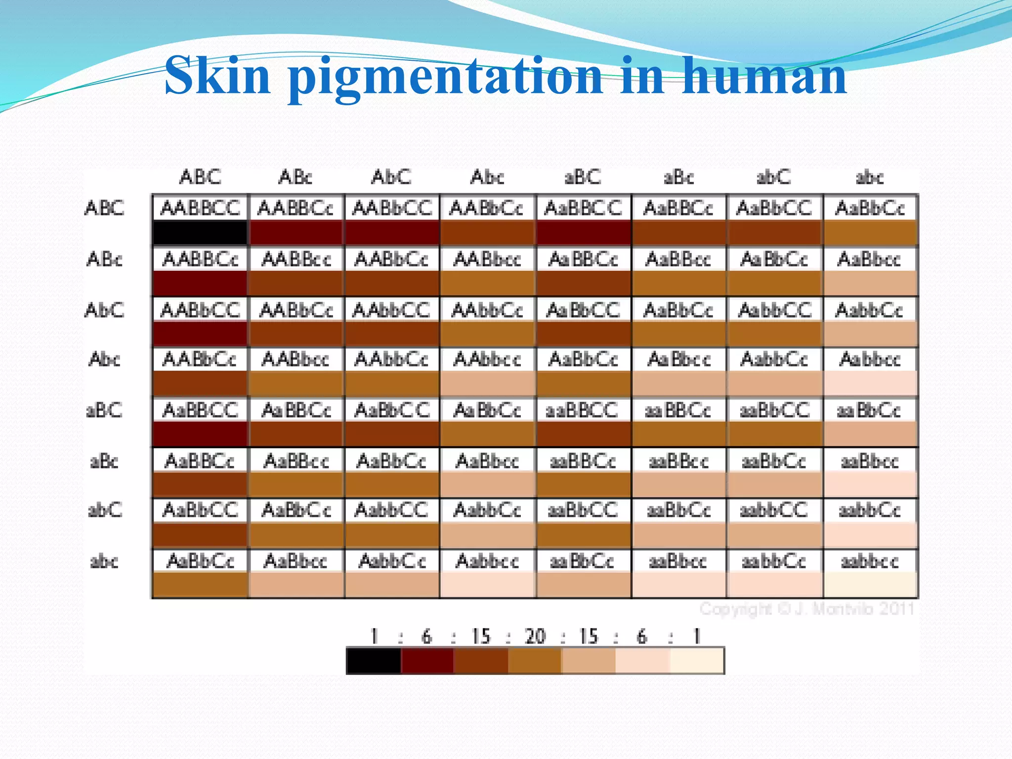 Polygene and its inheritance | PPTX