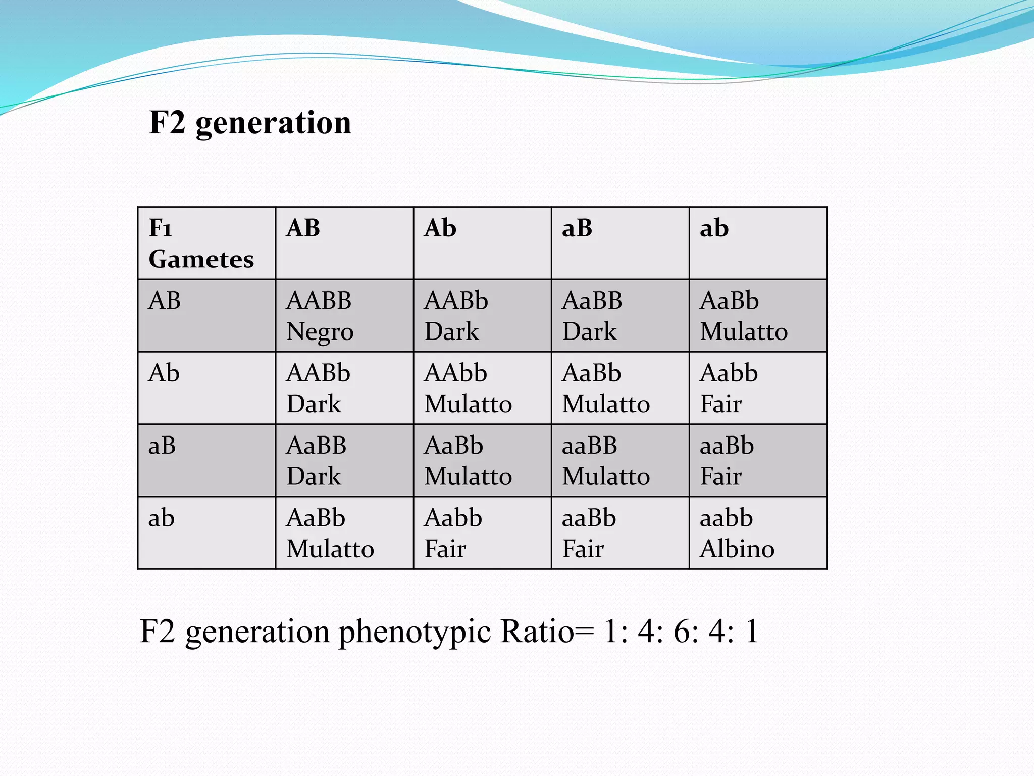 Polygene and its inheritance | PPTX