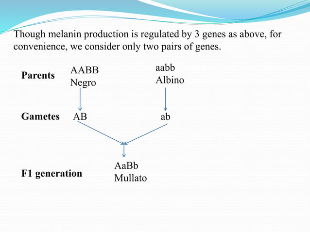Polygene and its inheritance | PPTX