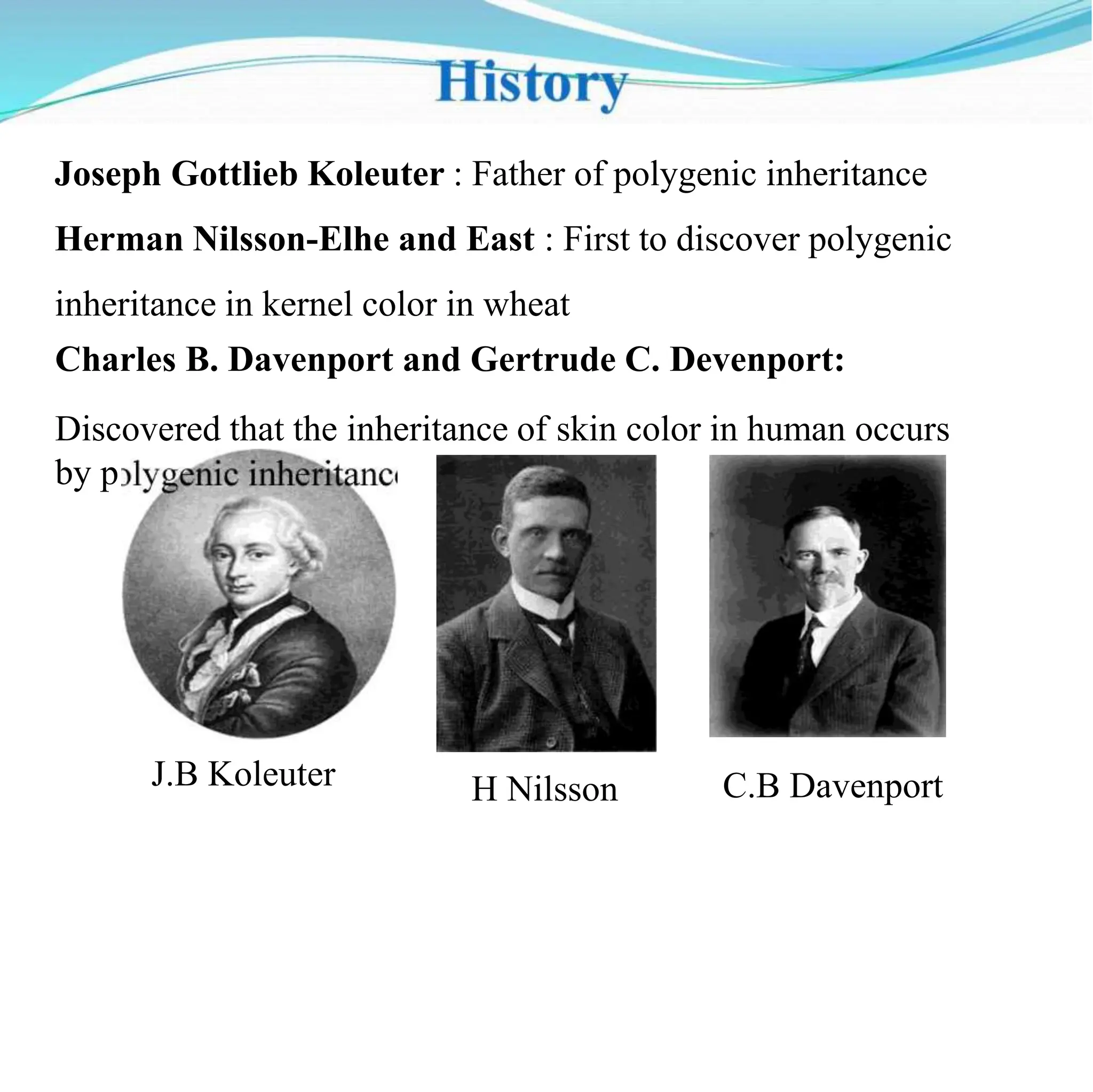 Polygenes and their inheritance pattern.pptx