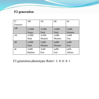 Polygenes and their inheritance pattern.pptx | Skin and Dermatology ...
