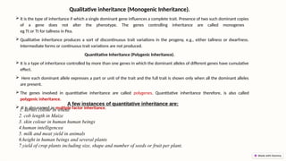 Polygenic Inheritance in Plants (genetics) .pptx