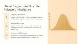 Polygenic Inheritance in Plants (genetics) .pptx