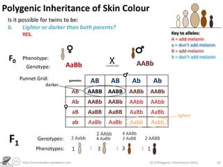 Polygenic Traits Biology