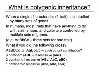 Polygenic Inheritance | PPT