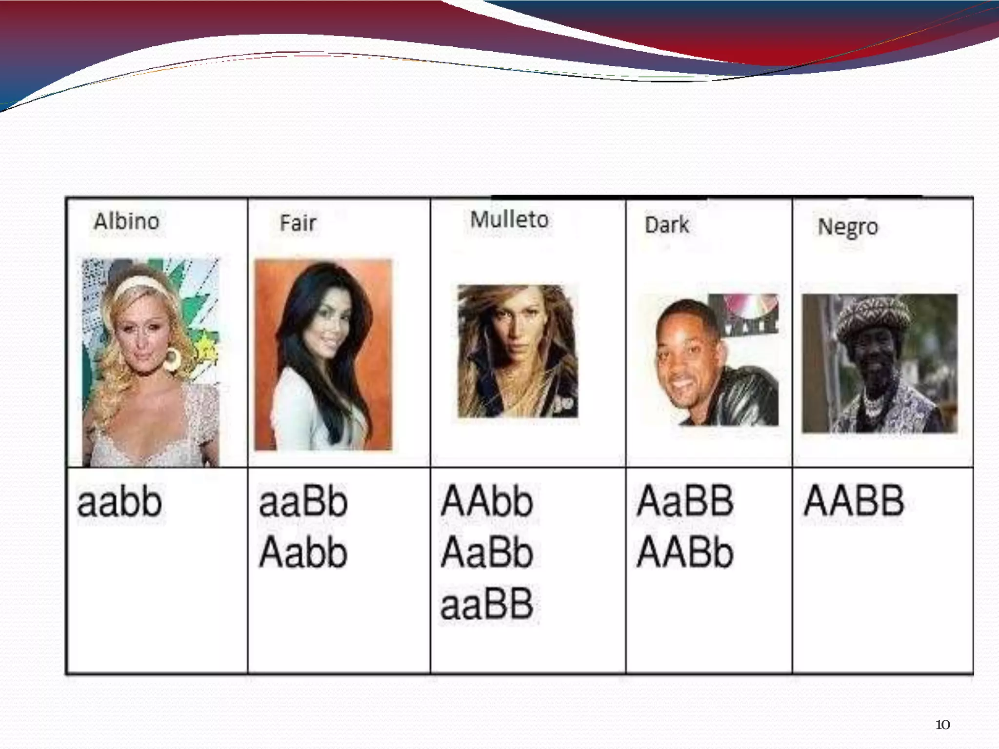 Polygenicinheritance.,atavism ,multiple allelism | PPTX