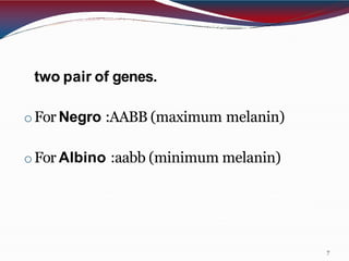 Polygenicinheritance.,atavism ,multiple allelism | PPTX