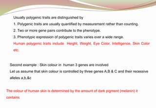 Polygenic Inheritance Example