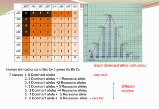 Skin Color Polygenic Graph