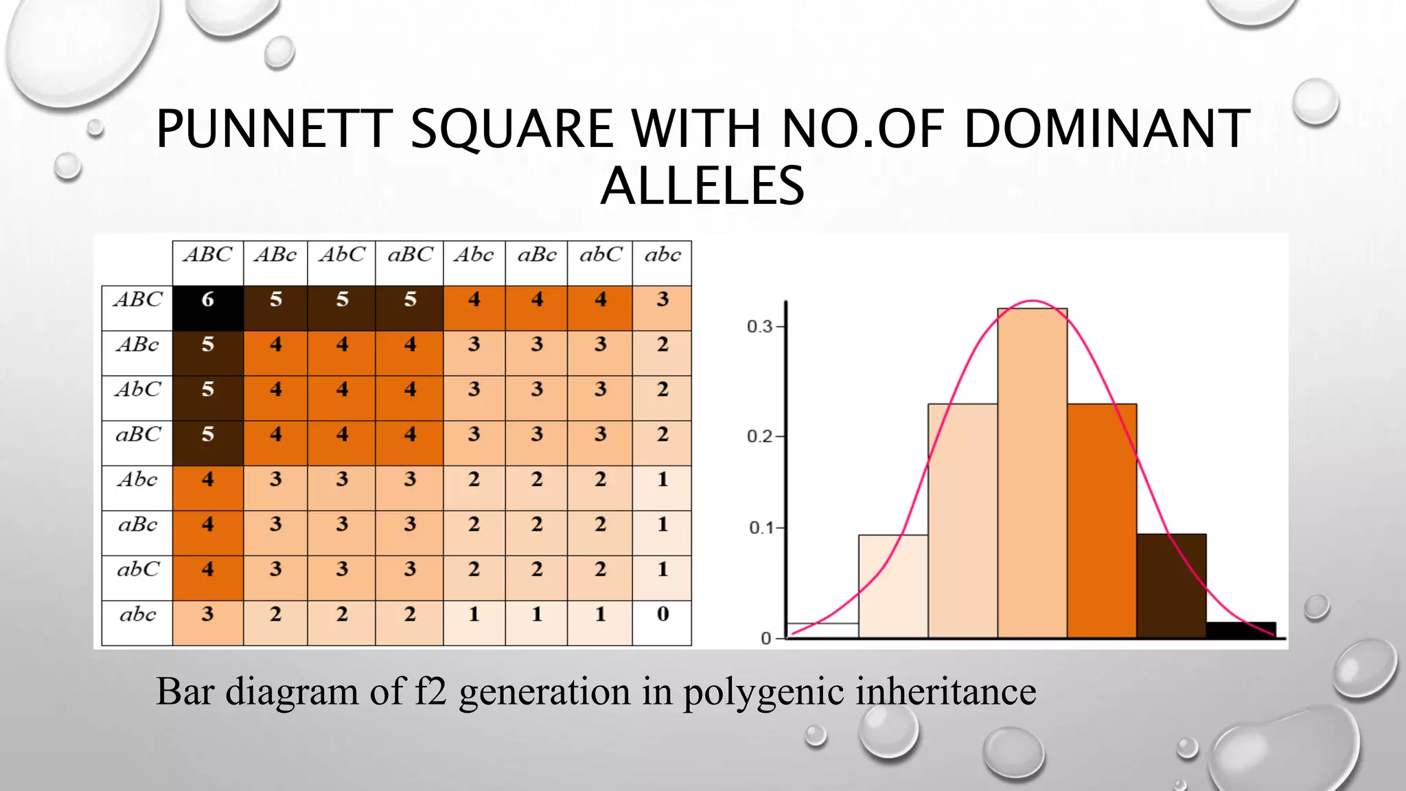Polygenic inheritance | PPTX