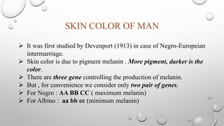 Polygenic inheritance | PPTX