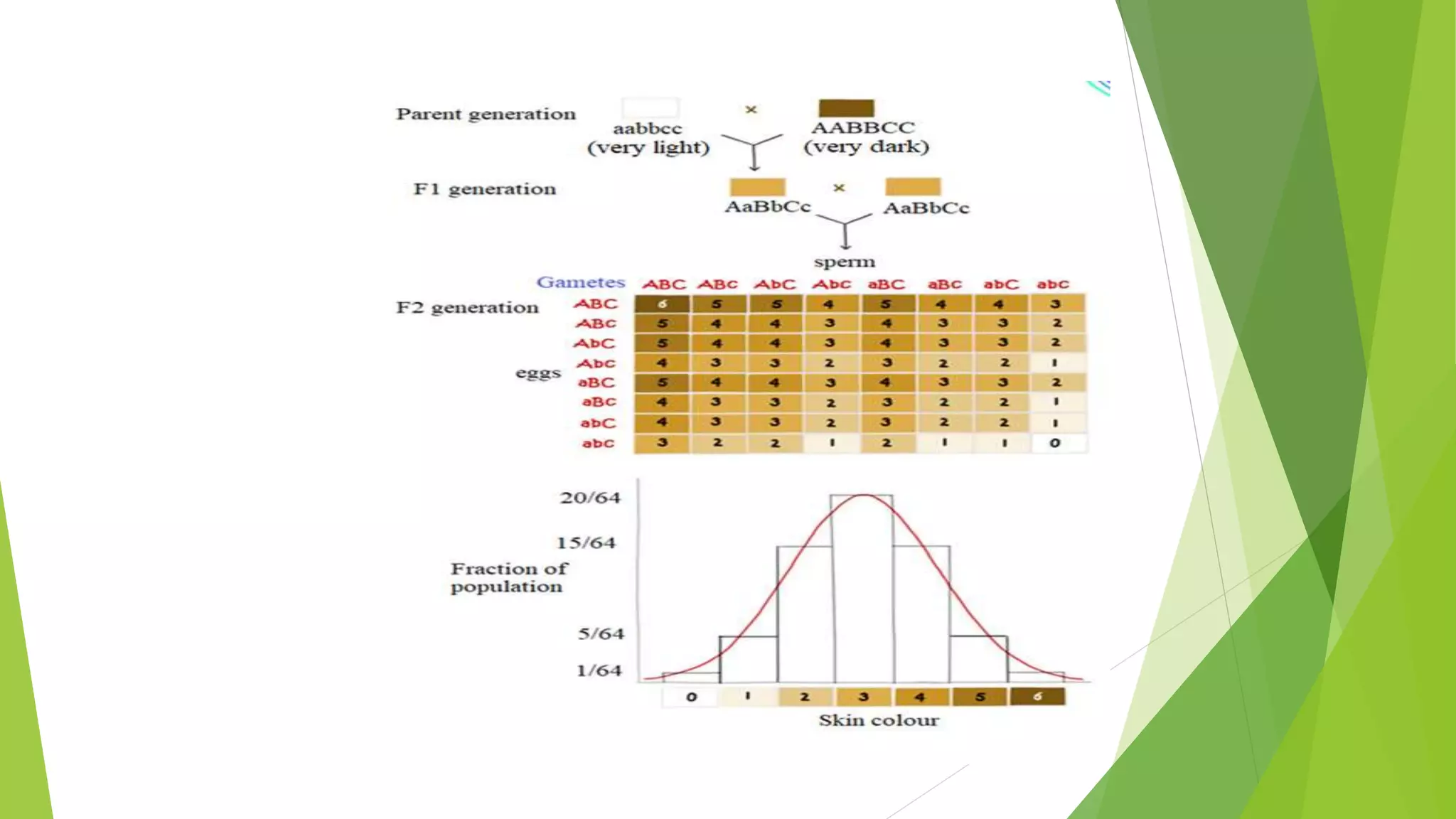polygenic inheritance.pptx