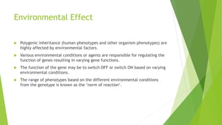 polygenic inheritance.pptx